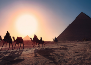 History of the Jester is more than about Medieval Court Jesters!